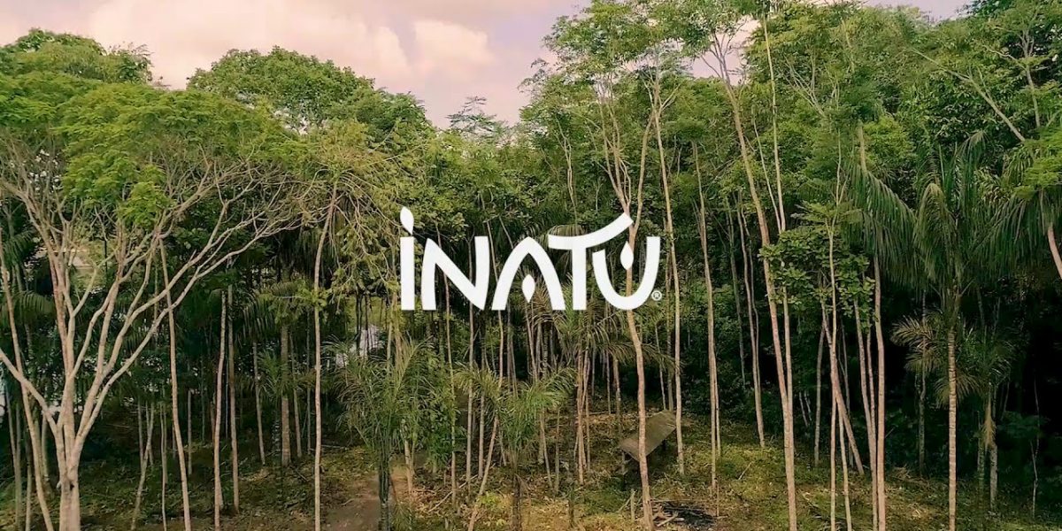 Inatú Amazônia apresenta tecnologia para gestão de produtos amazônicos ...