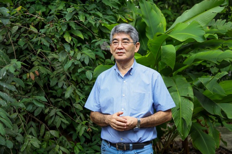 “A Ciência já Demonstrou que a Amazônia Pode Gerar Riqueza sem ...