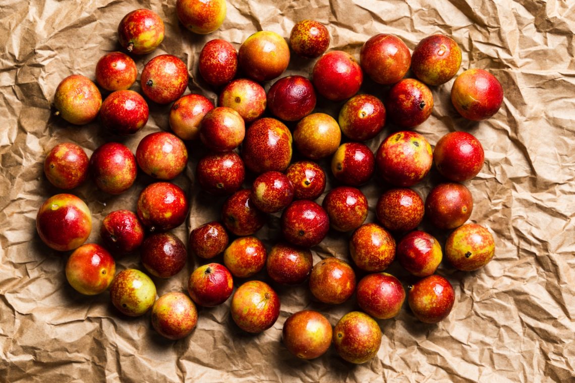 32 frutas da Amazônia que você provavelmente não conhecia (ou que não ...