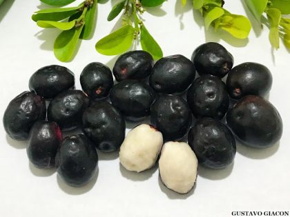 32 frutas da Amazônia que você provavelmente não conhecia (ou que não ...