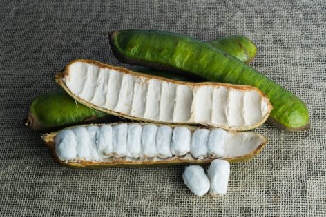 32 frutas da Amazônia que você provavelmente não conhecia (ou que não ...