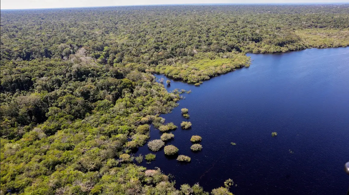 Fundo Amazônia bate recorde com mais de R$ 1 bilhão aprovado em ...