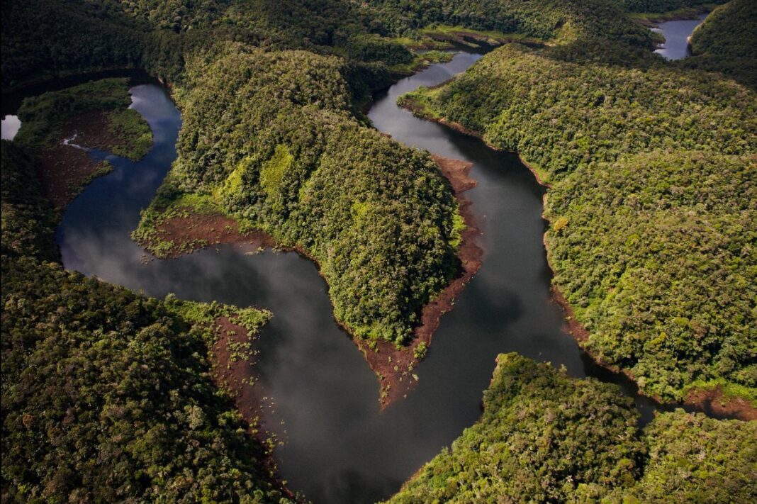 Como surgiu a Amazônia? 250 milhões de anos que criaram a maior ...